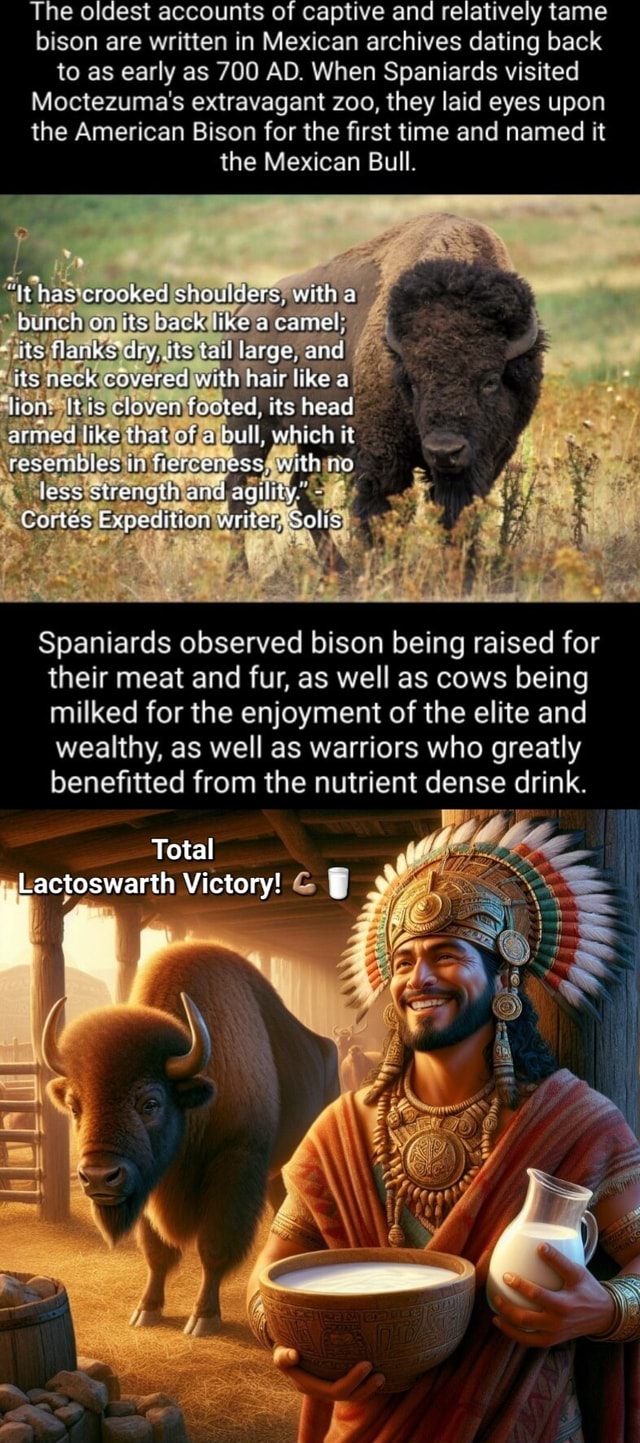 The oldest accounts of captive and relatively tame bison are written in ...