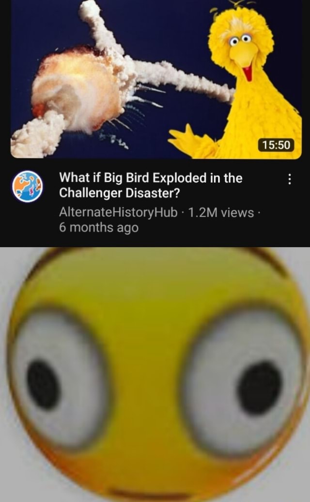 What if Big Bird Exploded in the Challenger Disaster ...