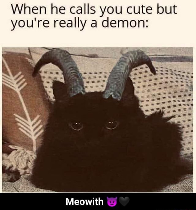 When he calls you cute but you're really a demon: - Meowith 😈🖤 - iFunny