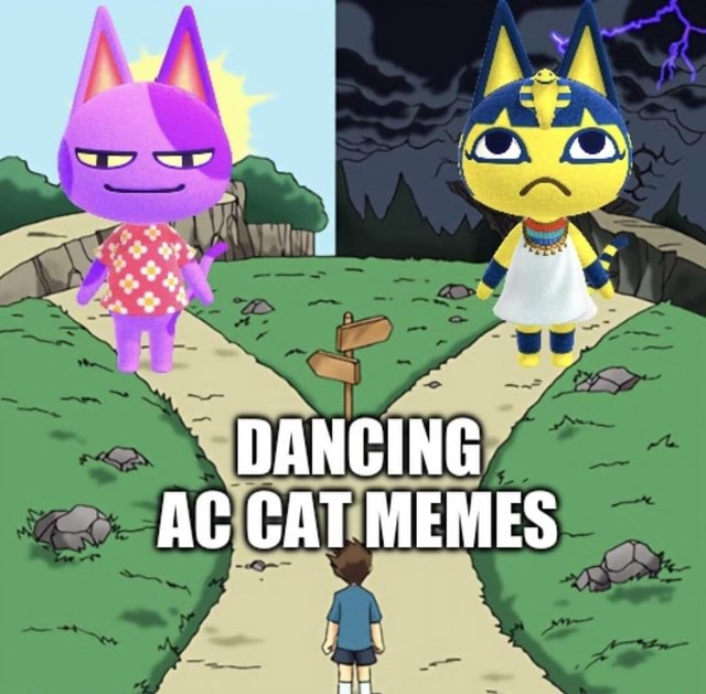 DANCING AC CAT MEMES - iFunny