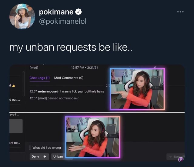 , pokimane @ @pokimanelol my unban requests be like.. PM Chat Logs (1 ...