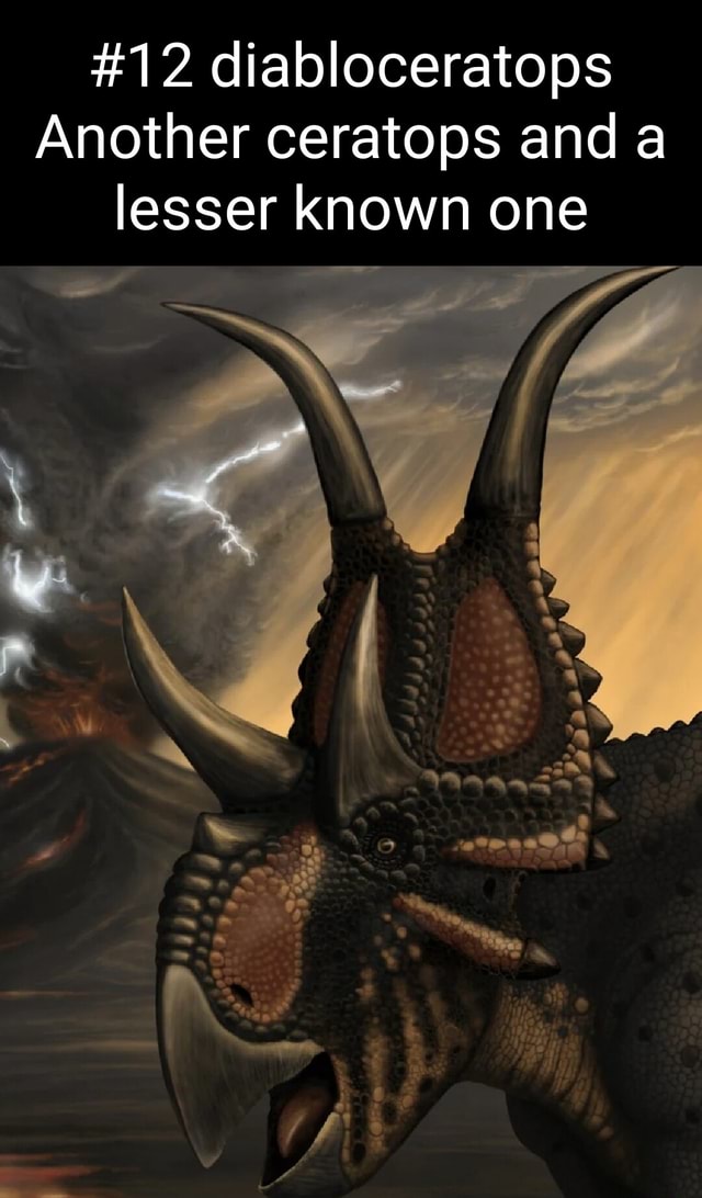#12 diabloceratops Another ceratops and a lesser known one - iFunny