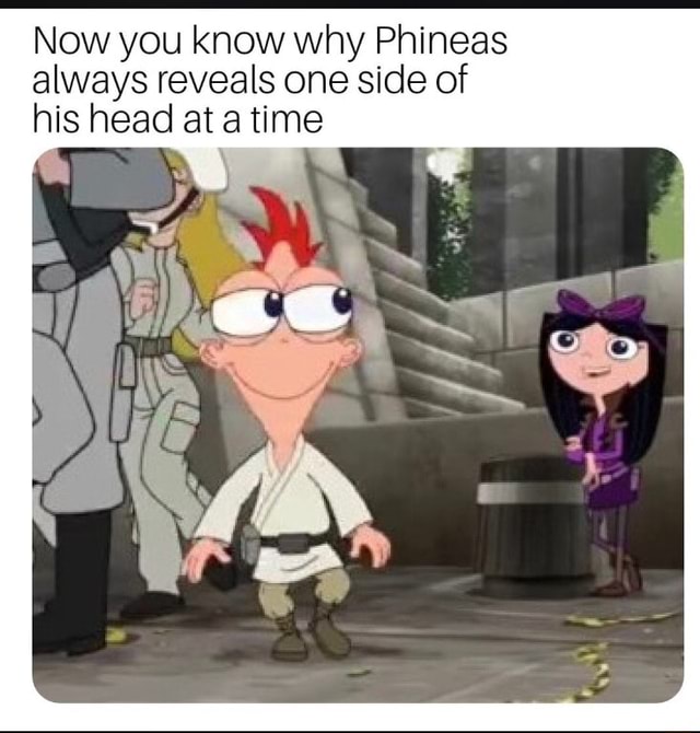 Now you know why Phineas always reveals one side of his head at a time ...