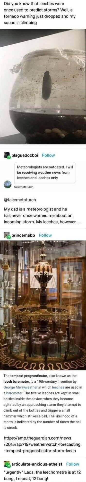 Did you know that leeches were once used to predict storms? Well, a ...