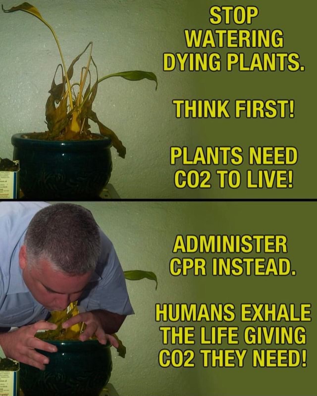 STOP PLANTS. PLANTS NEED TO LIVE! HUMANS EXHALE THE LIFE GIVING THEY ...
