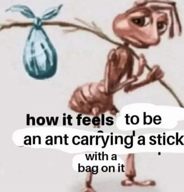 How it feals' to be an ant carrying a stick witha on it - iFunny