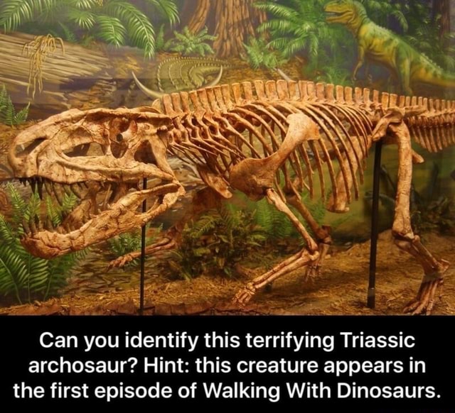 Can you identify this terrifying Triassic archosaur? Hint: this ...