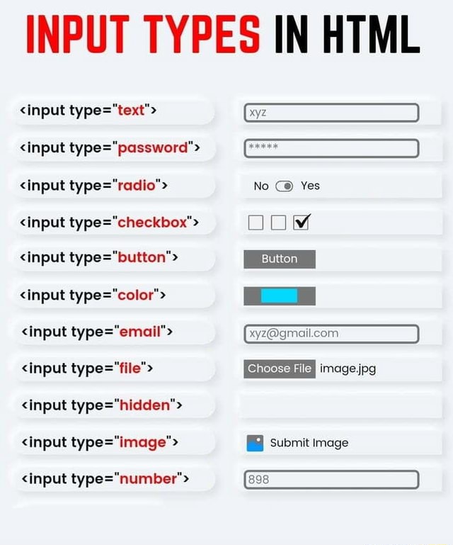 INPUT TYPES IN HTML