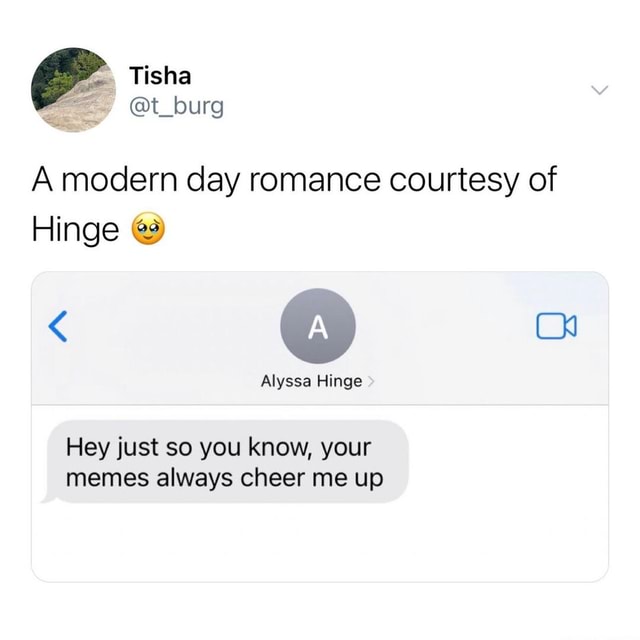 Memes are the highest level love language #hingepartner # ...
