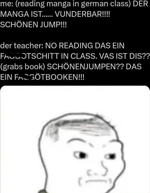 Me: (reading manga in german class) DER MANGA IST...... VUNDERBAR ...