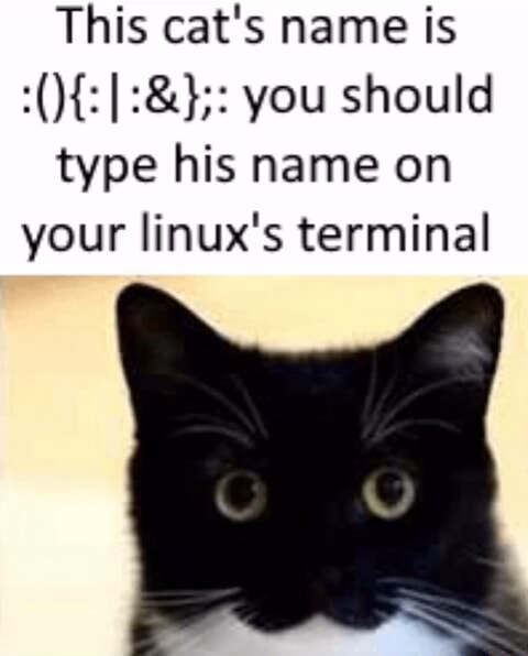 This cat's name is I you should type his name on your linux's terminal ...
