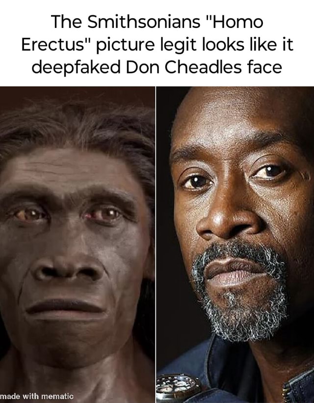 The Smithsonians "Homo Erectus" picture legit looks like it deepfaked ...