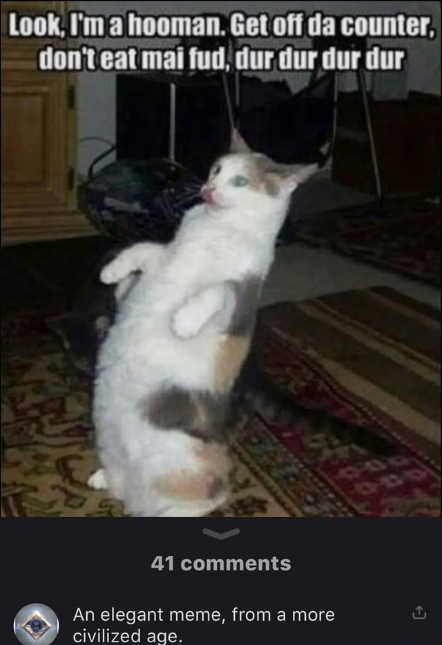 Look, I'm a hooman. Get off da counter, don't eat mai fud, dur cur dur ...