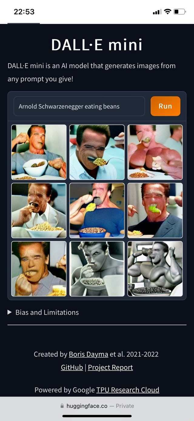 DALL-E mini DALLE mini is an Al model that generates images from any ...