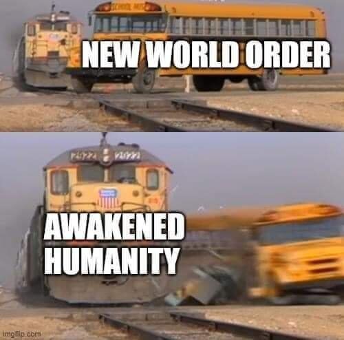 NEW WORLD ORDER AWAKENED HUMANITY - iFunny