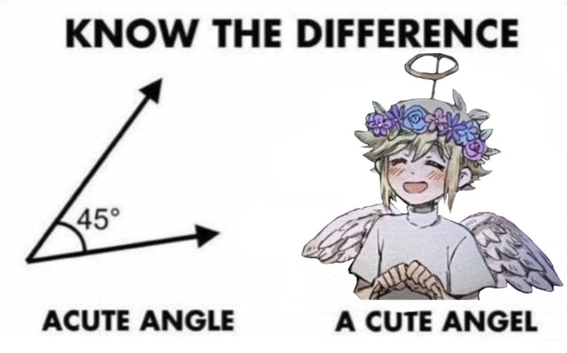 KNOW THE DIFFERENCE ACUTE ANGLE A CUTE ANGEL - iFunny