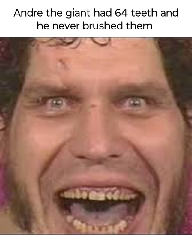 Andre the giant had 64 teeth and he never brushed them - iFunny