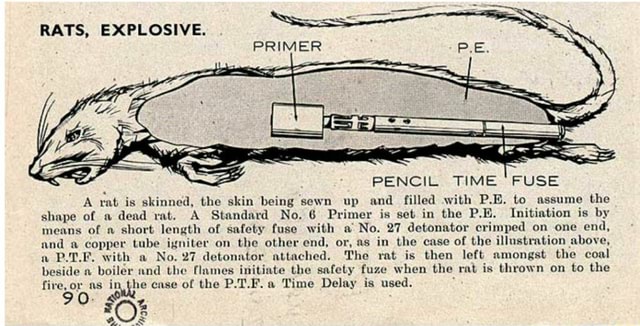 RATS, EXPLOSIVE. PRIMER PENCIL TIME FUSE A rat is skinned, the skin ...
