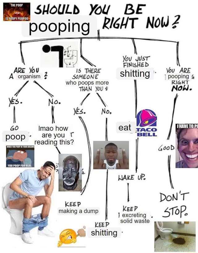 SHOULD You BE pooping ,RIGHT NoW ARE You Is itting ARE A organism ...