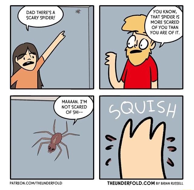 DAD THERE'S A YOU KNOW, SCARY SPIDER! THAT SPIDER IS MORE SCARED OF YOU ...