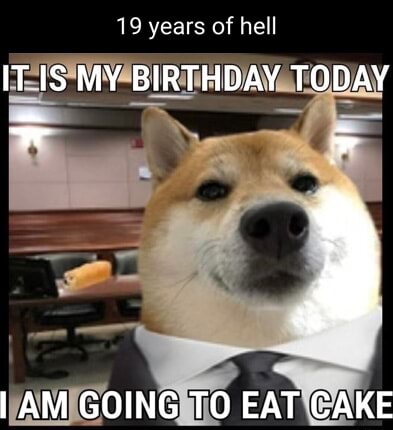 19 years of hell IT MY BIRTHDAY TODAY I AM GOING TO EAT CAKE - iFunny