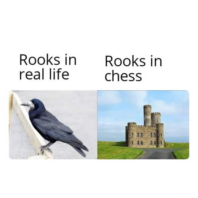 Rooks in Rooks in real life chess - iFunny