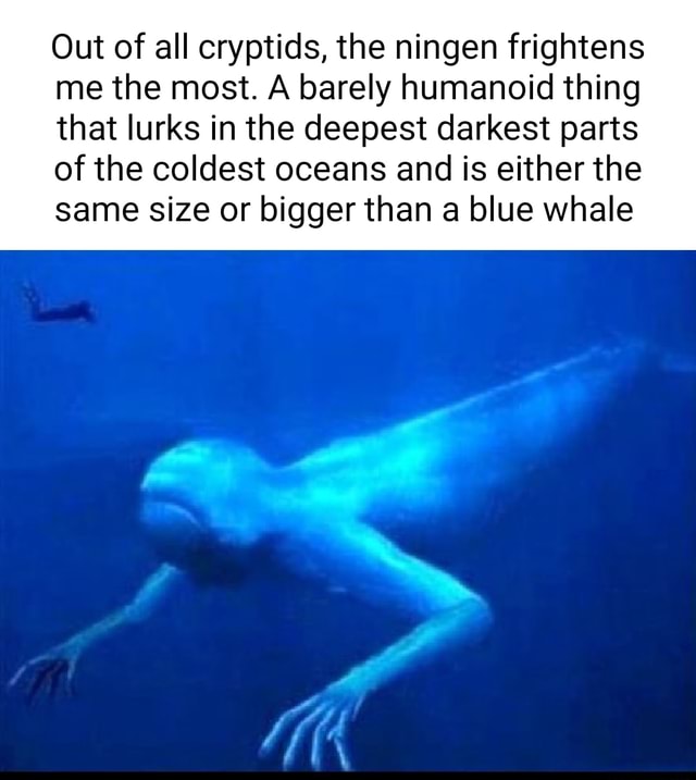 Out of all cryptids, the ningen frightens me the most. A barely ...