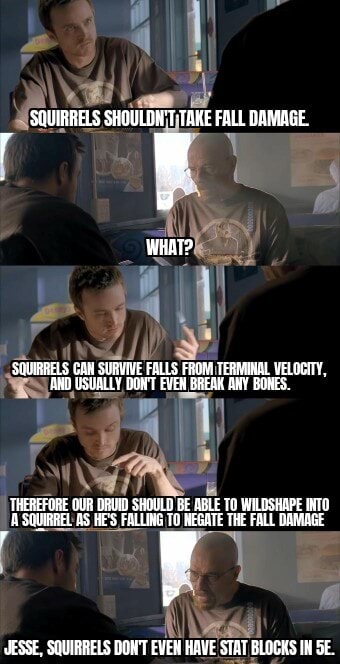 SQUIRRELS SHOULDH'T TAKE FALL OAMAGE. SQUIRRELS CAW SURVIVE FALLS ...