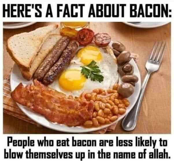 HERE'S A FACT ABOUT BACON: People who eat bacon are less likely to blow ...