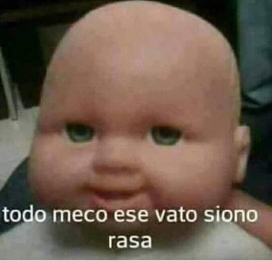 Todo meco ese vato siono rasa - iFunny Brazil