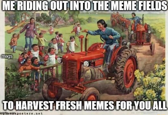 ME RIDING OUT INTO THE MEME FIELDS TO HARVEST FRESH MEMES FOR YOU ALL ...