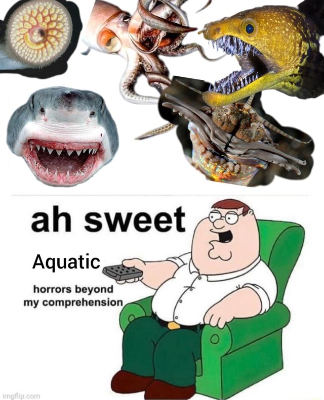 Ss ah sweet Aquatic horrors beyond my comprehension I - iFunny