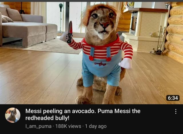 Messi peeling an avocado. Puma Messi the redheaded bully! I_am_puma ...