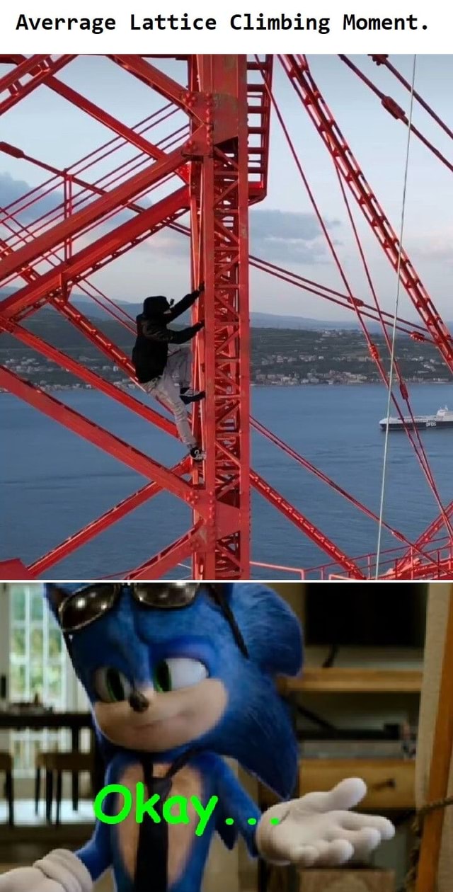Sonic The Hedgehog - IN\. Averrage Lattice Climbing Moment. - iFunny