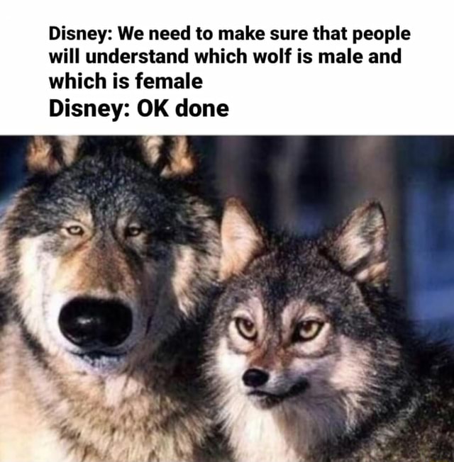 Disney: We need to make sure that people will understand which wolf is ...