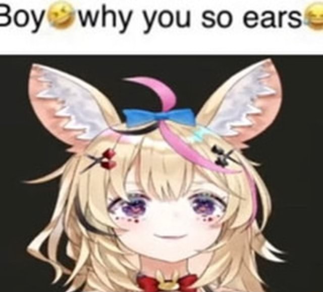 Why you so ears - iFunny