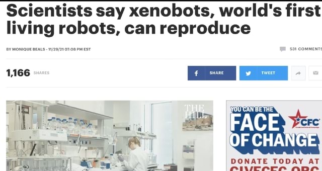 Scientists say xenobots, world's first living robots, can reproduce BY ... Scientists say xenobots, world's first living robots, can reproduce BY ...