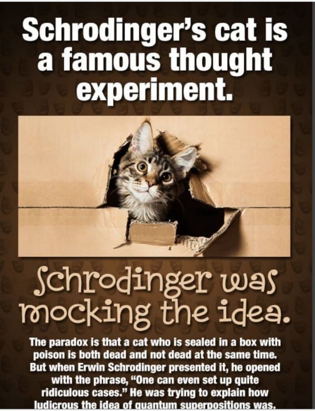 Schrodinger's cat is a famous thought experiment. Schrodinger er was mocking the idea. The ...