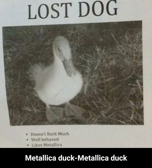 Metallica duck-Metallica duck - Metallica duck-Metallica duck - iFunny