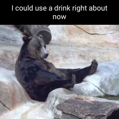 I could use a drink right about now - iFunny