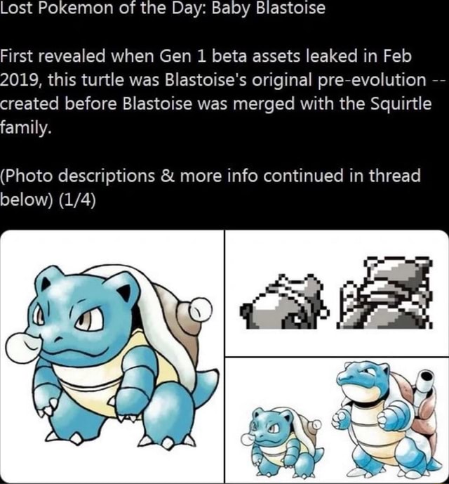 Lost Pokemon of the Day: Baby Blastoise First revealed when Gen 1 beta ...