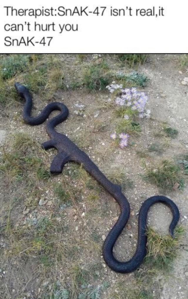 Therapist:SnAK-47 isn't real,it can’t hurt you SnAK-47 - iFunny