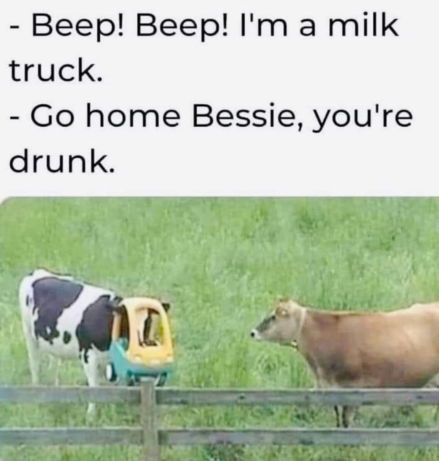 - Beep! Beep! I'm a milk truck. - Go home Bessie, you're drunk. - iFunny
