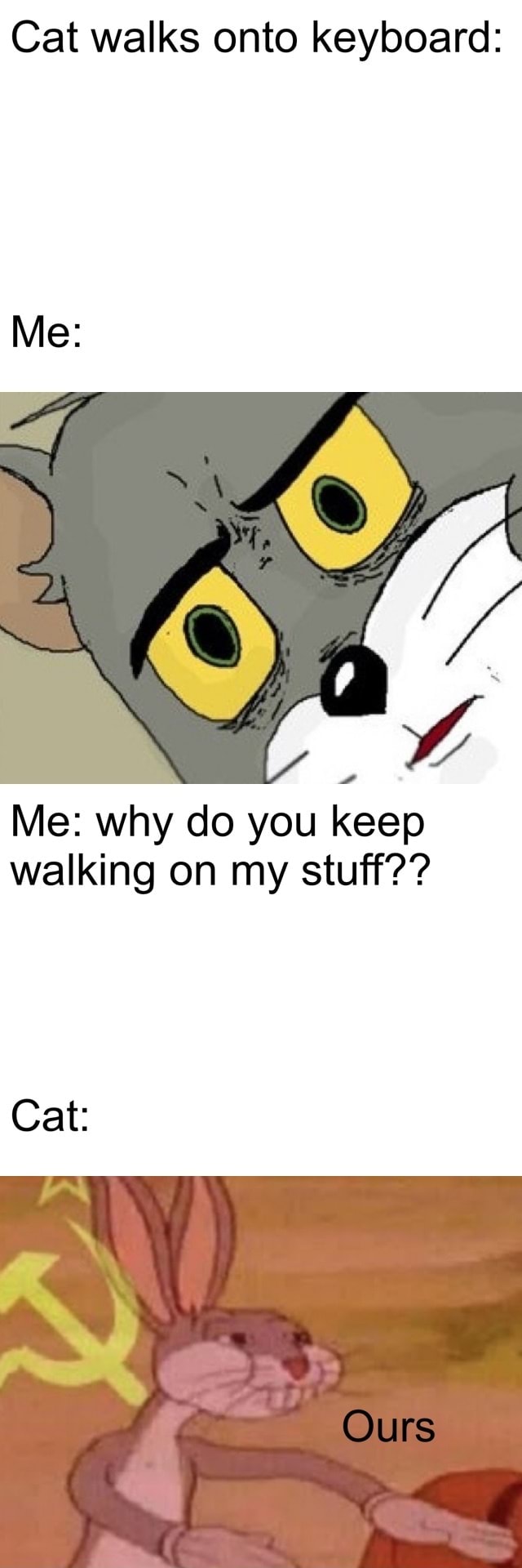 Cat walks onto keyboard: Me: why do you keep walking on my stuff?? - iFunny