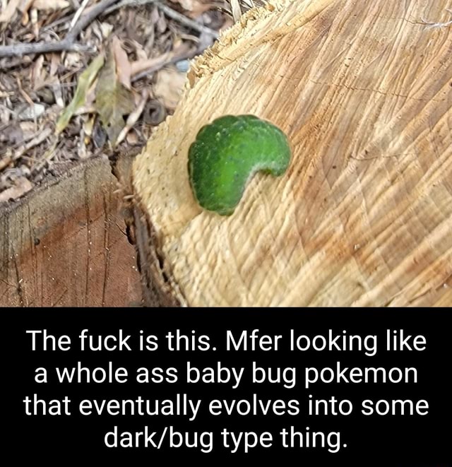Te The fuck is this. Mfer looking like a whole ass baby bug pokemon ...