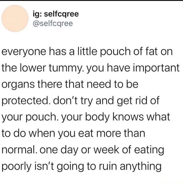 Everyone has a little pouch of fat on the lower tummy. you have ...
