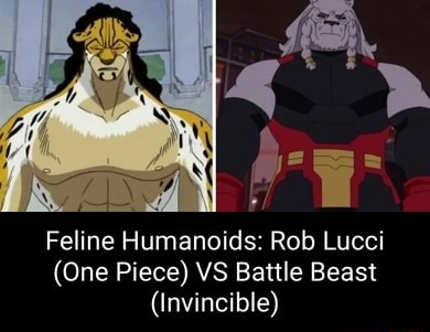 Feline Humanoids: Rob Lucci (One Piece) VS Battle Beast (Invincible ...