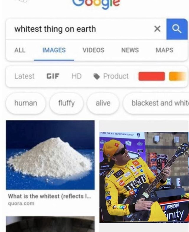 Whitest thing on earth x ALL IMAGES VIDEOS NEWS MAPS GIF numan fluffy ...