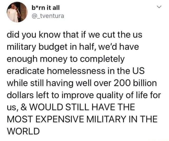 Did you know that if we cut the us military budget in half, we'd have ...