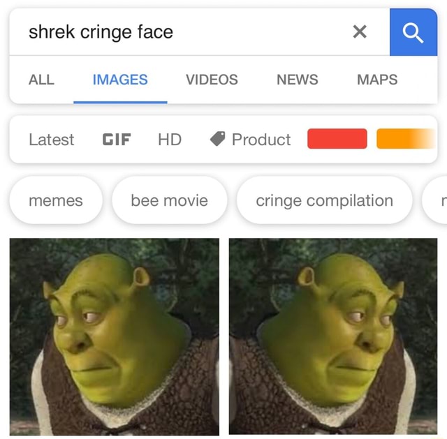 Shrek cringe face X ALL IMAGES VIDEOS NEWS MAPS memes bee movie cringe ...